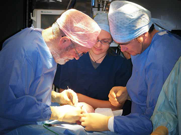 Visit - Mobile Health